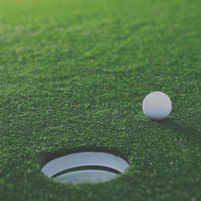 George Gankas Golf | YOU CAN BE YOUR OWN GOLF COACH