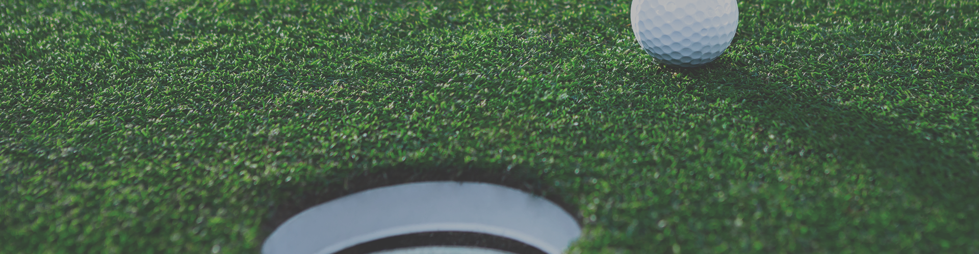 George Gankas Golf | YOU CAN BE YOUR OWN GOLF COACH